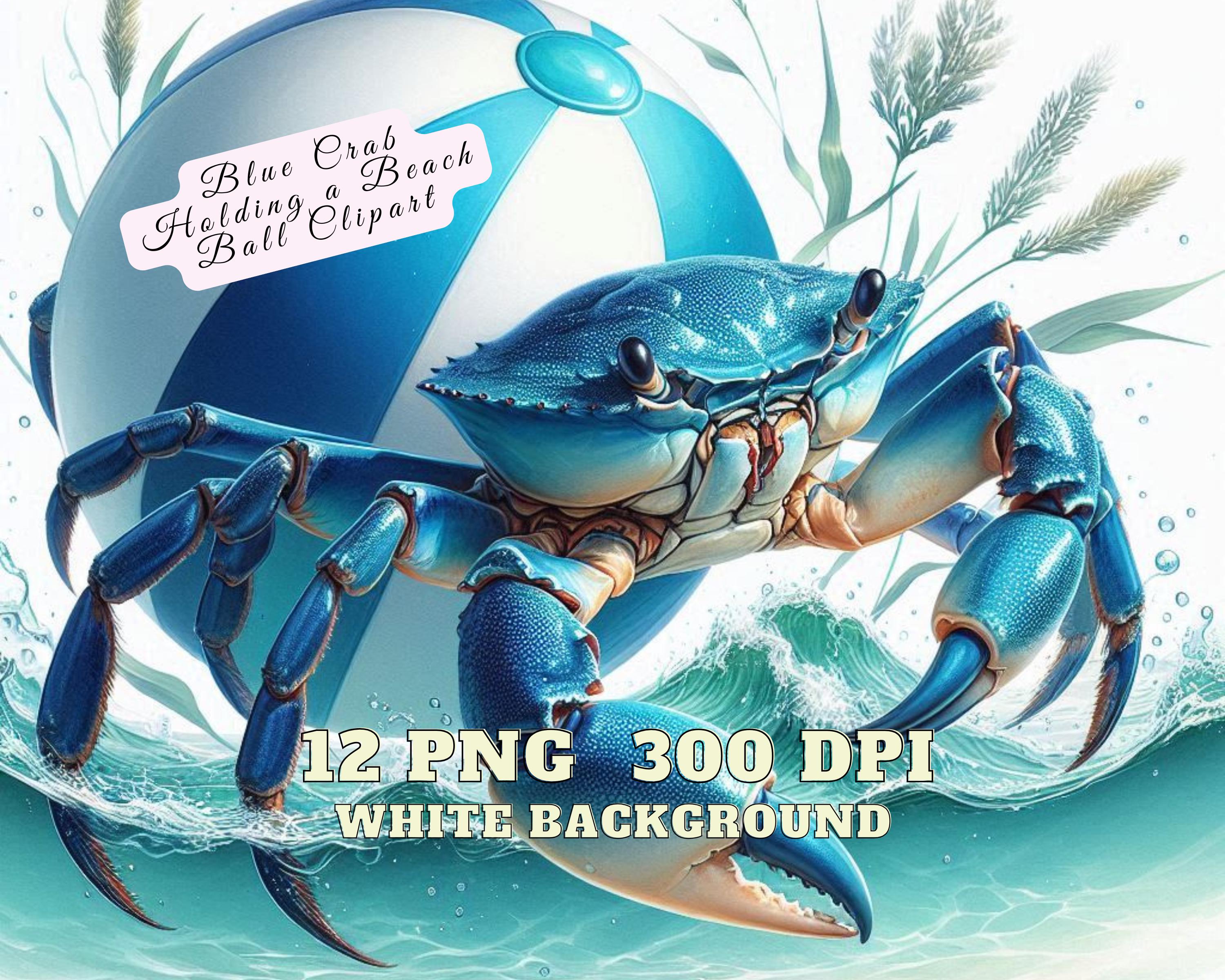 Blue Crab Clipart, Blue Crab Holding a Beach Ball Clipart, Blue Crab ...