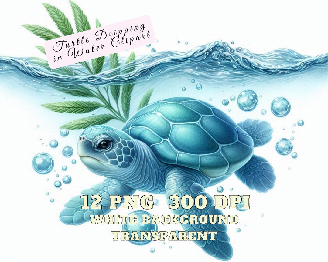Sea Turtle Clipart, Turtle Dripping in Water Clipart, 12 Baby Turtle ...