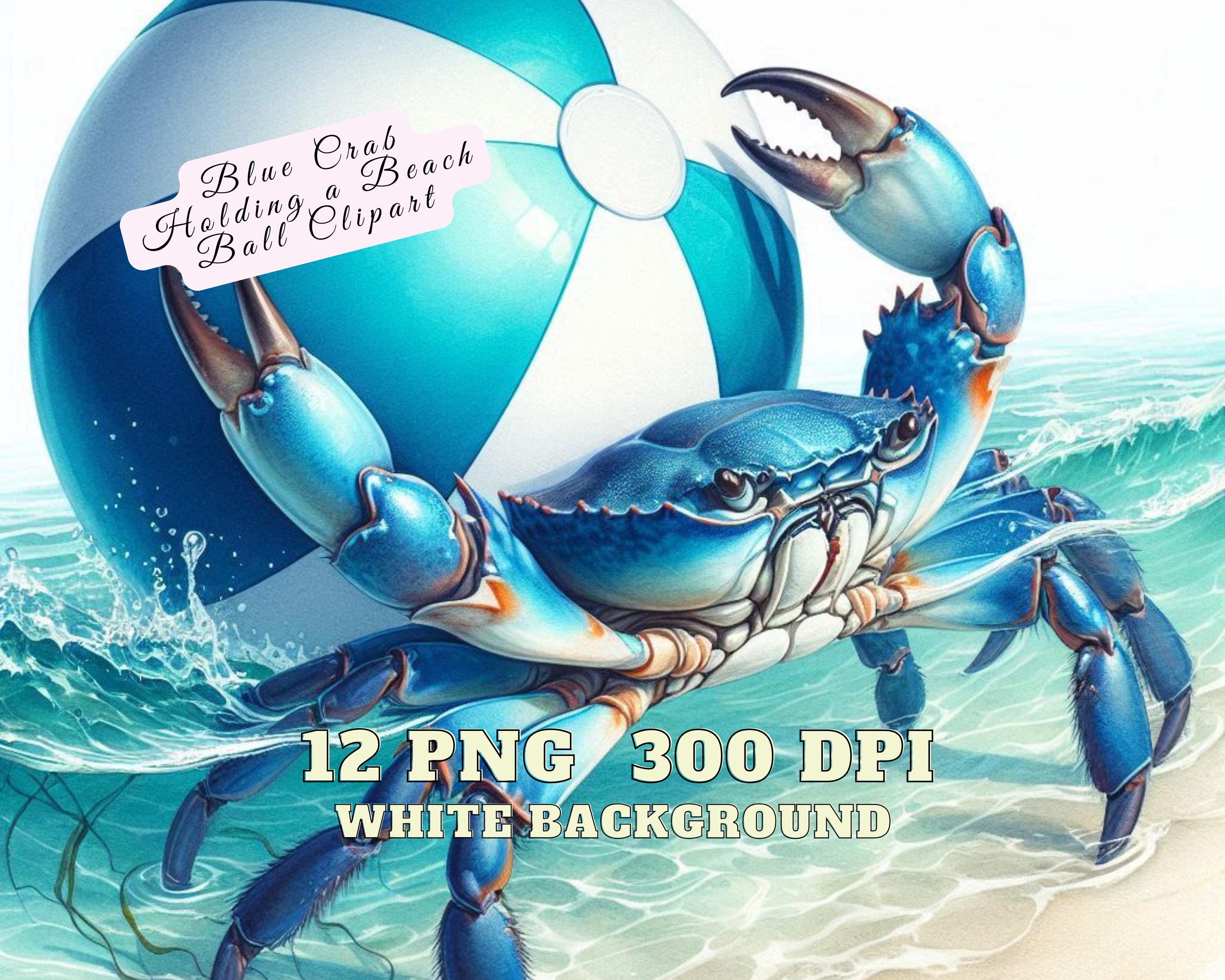 Blue Crab Clipart, Blue Crab Holding a Beach Ball Clipart, Blue Crab ...