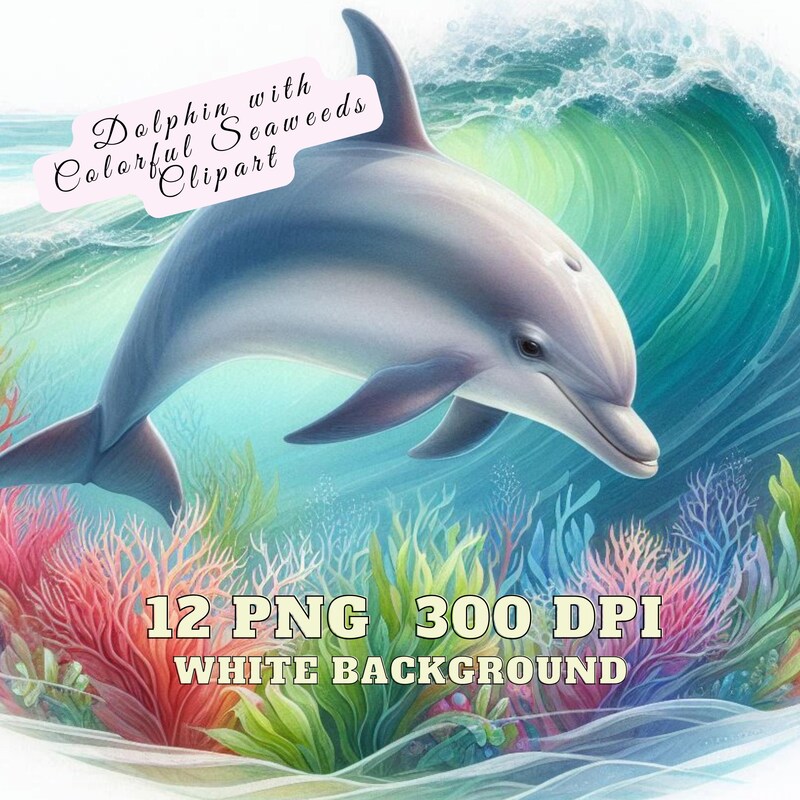 Dolphin Clipart - Etsy