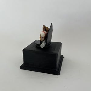 Personalized Baseball Mitt Trophy, Coach Gift, Baseball Glove, T-ball ...