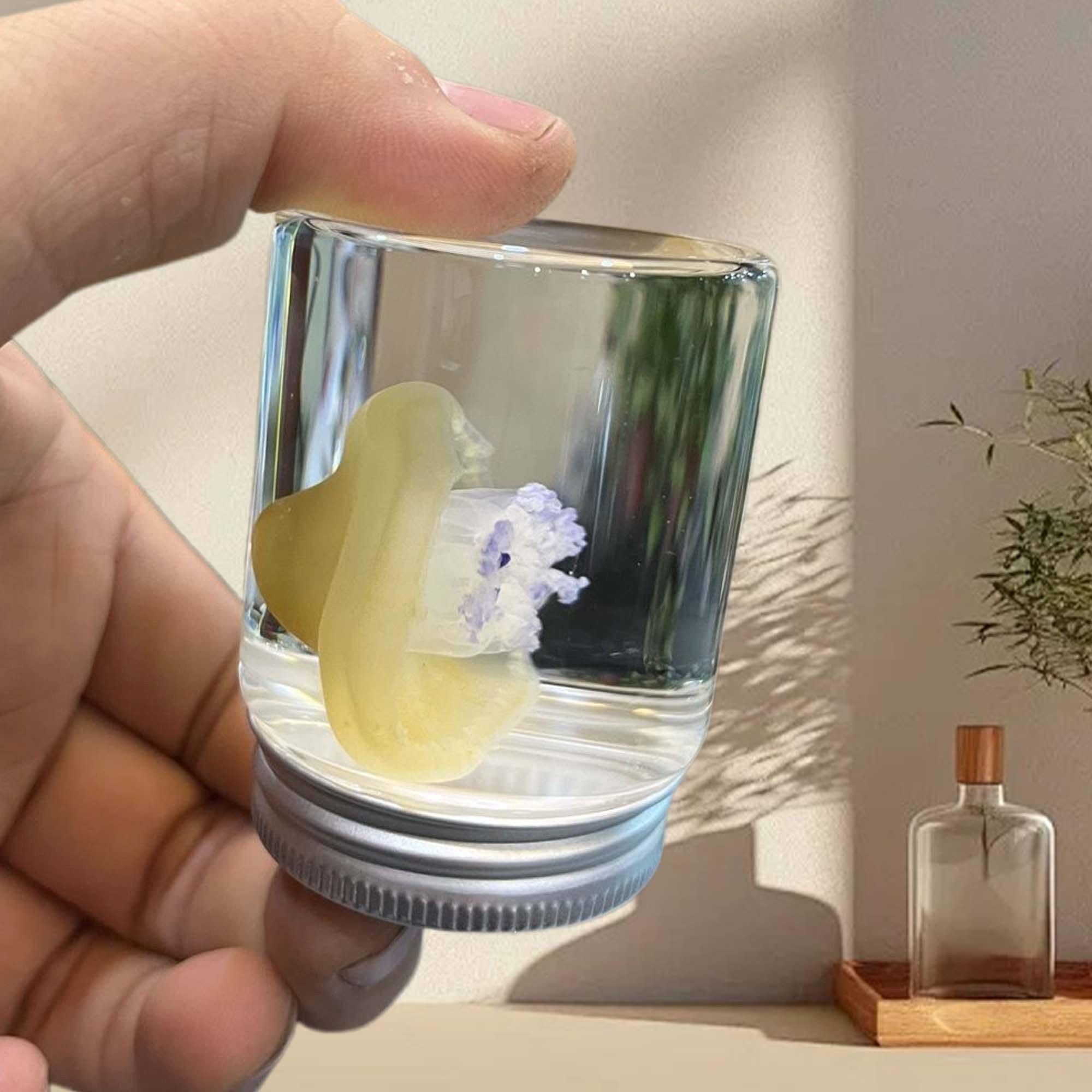 Real Light Yellow Jellyfish Specimen Long-term Preservation Immersion ...