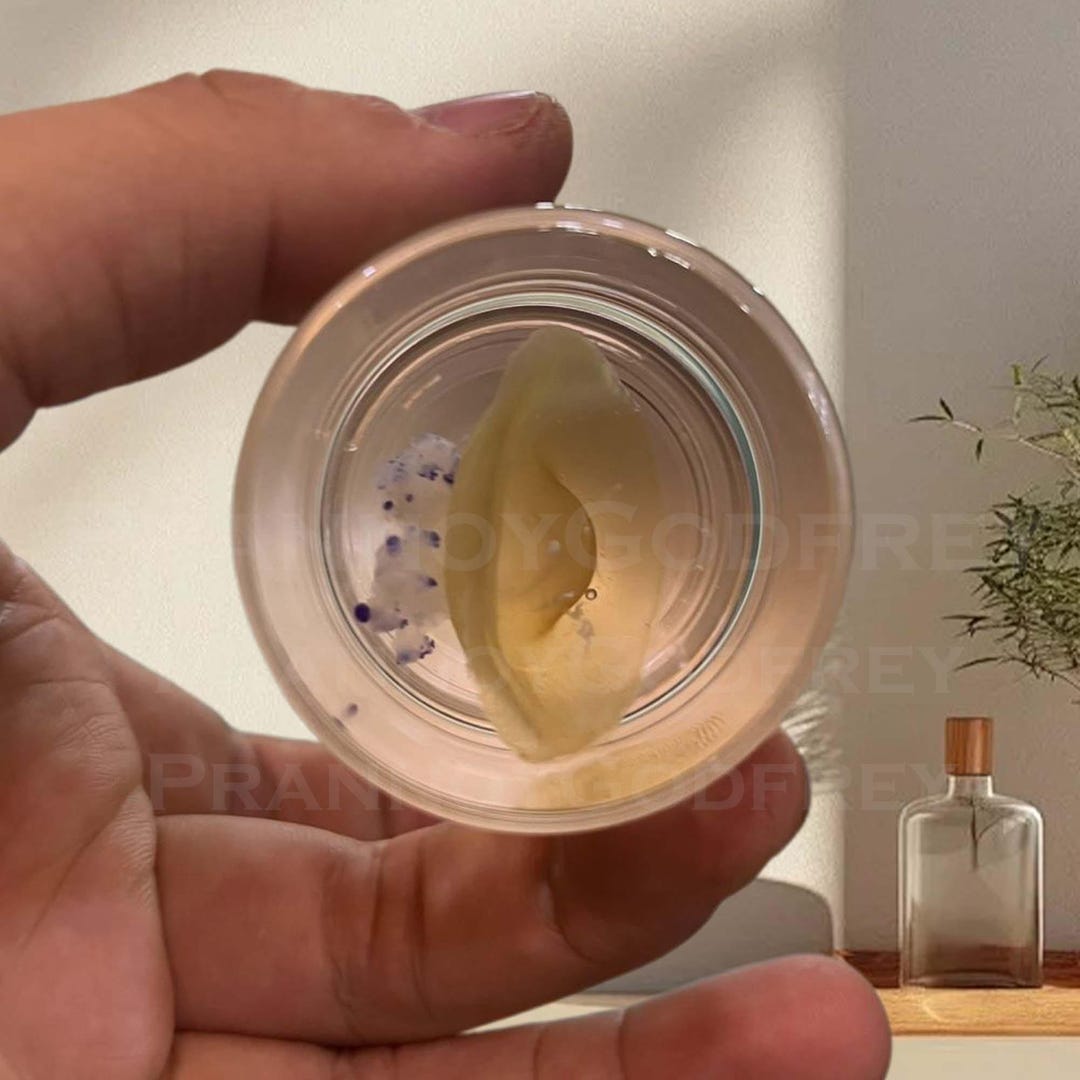 Real Light Yellow Jellyfish Specimen Long-term Preservation Immersion ...