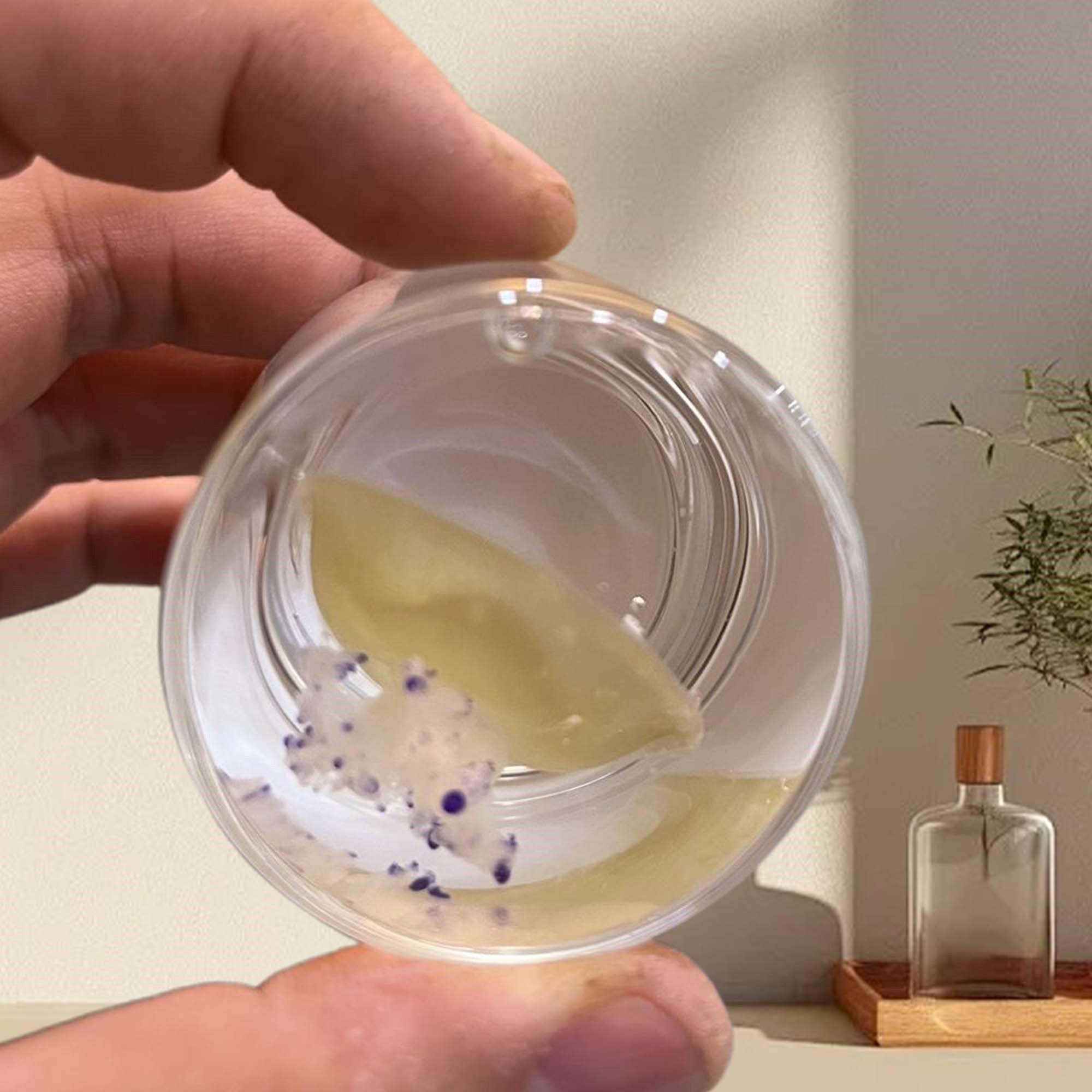 Real Light Yellow Jellyfish Specimen Long-term Preservation Immersion ...