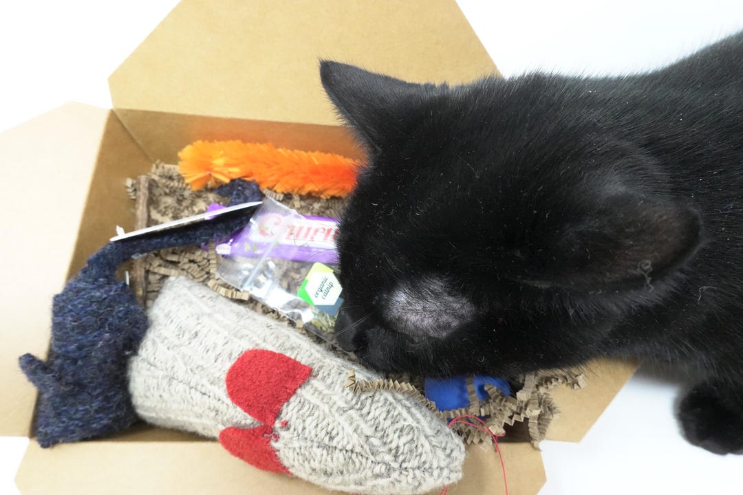 Cat Mom Gift Box: Organic Catnip Mice & Sock Mouse, Eco-friendly Pet ...