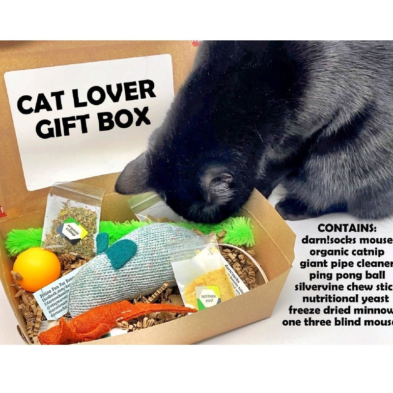 Cat Gifts - 60+ Gift Ideas for 2025
