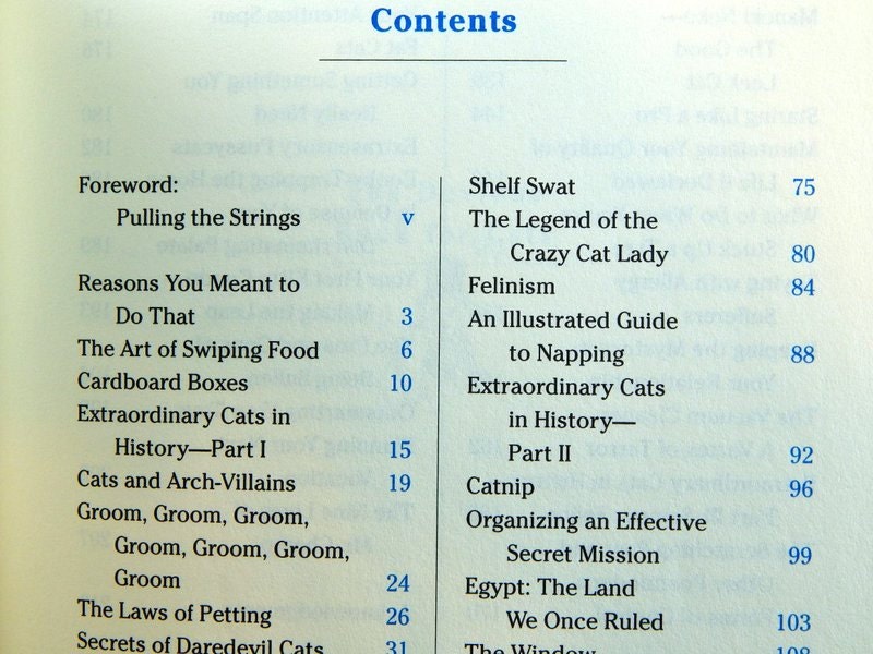 Devious Book for Cats Gift Box Combo with darnsocks Toy | Etsy