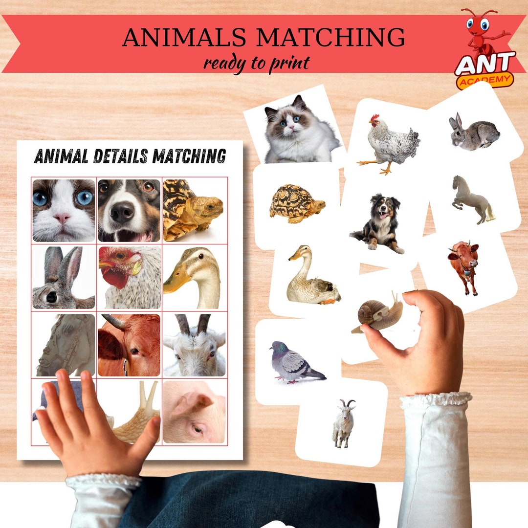 Animals Matching Activity Fun Educational Printable for Kids Learn and ...