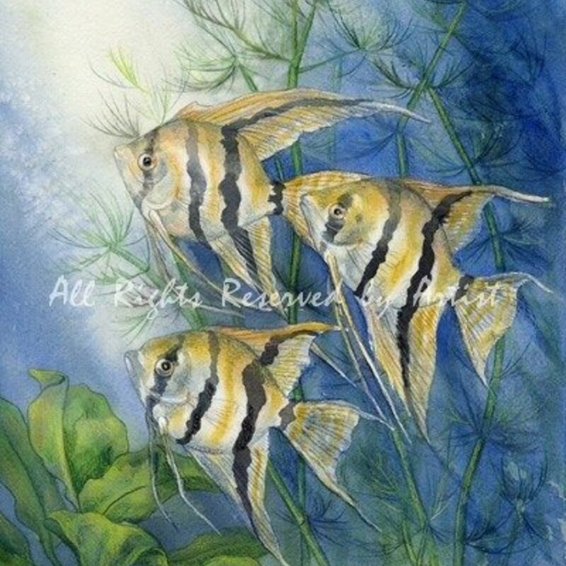Angelfish Painting - Etsy