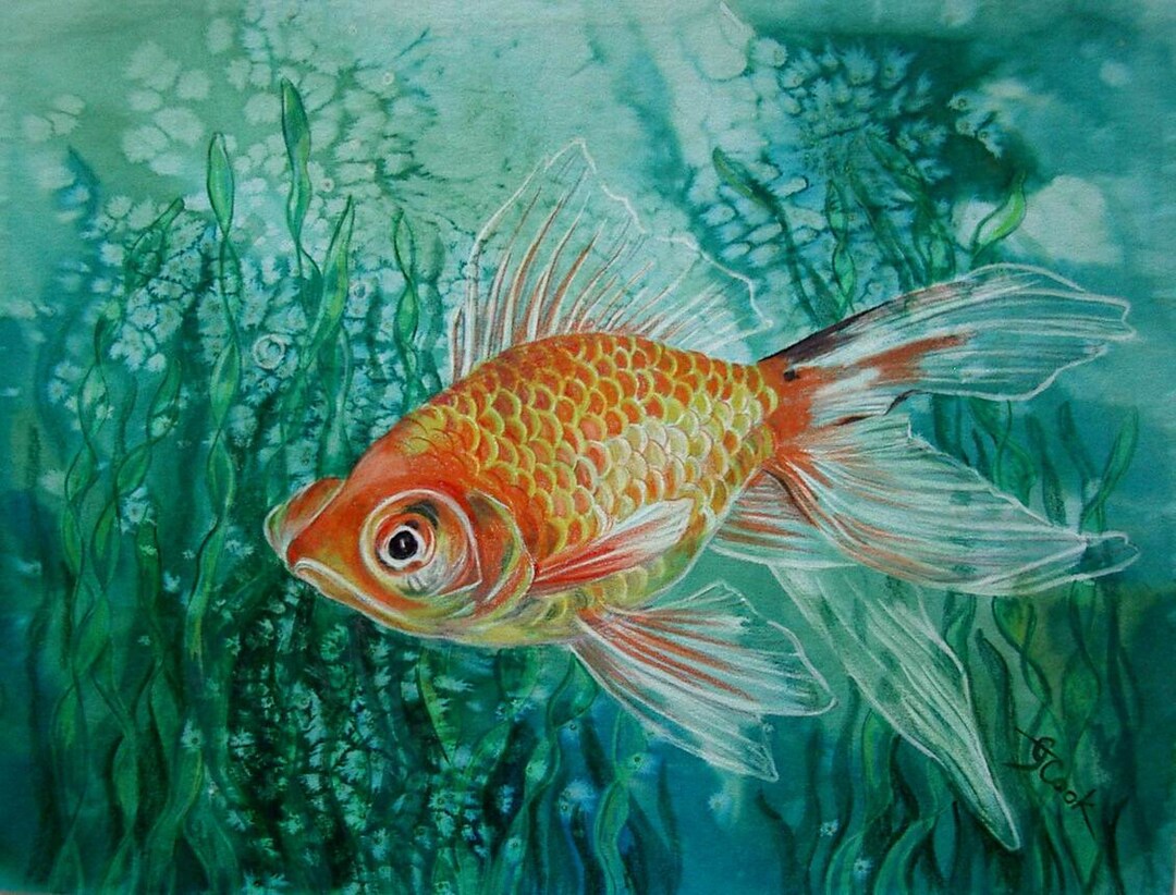 Fantail Goldfish Aquarium Original Watercolor Colored Pencil Art by ...