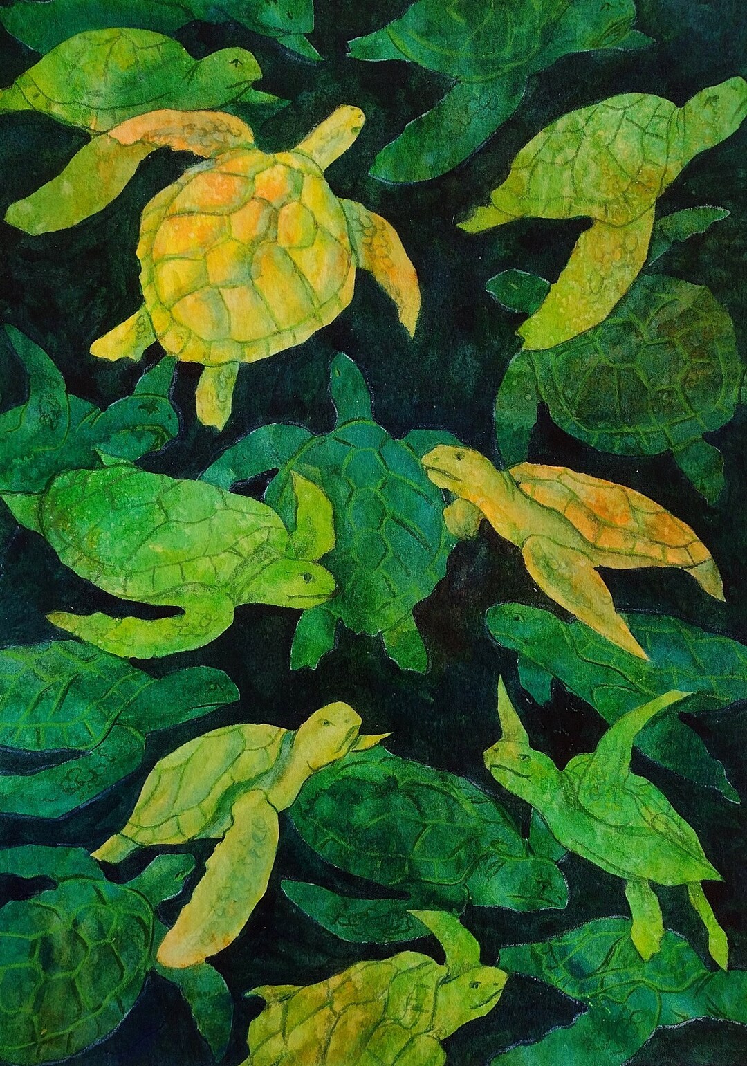 Sea Turtles Watercolor Painting: From Art Lesson, With Colored Pencil ...