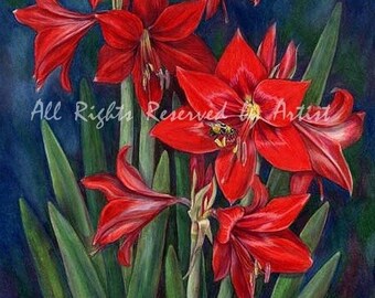 Red Amaryllis Art - Etsy