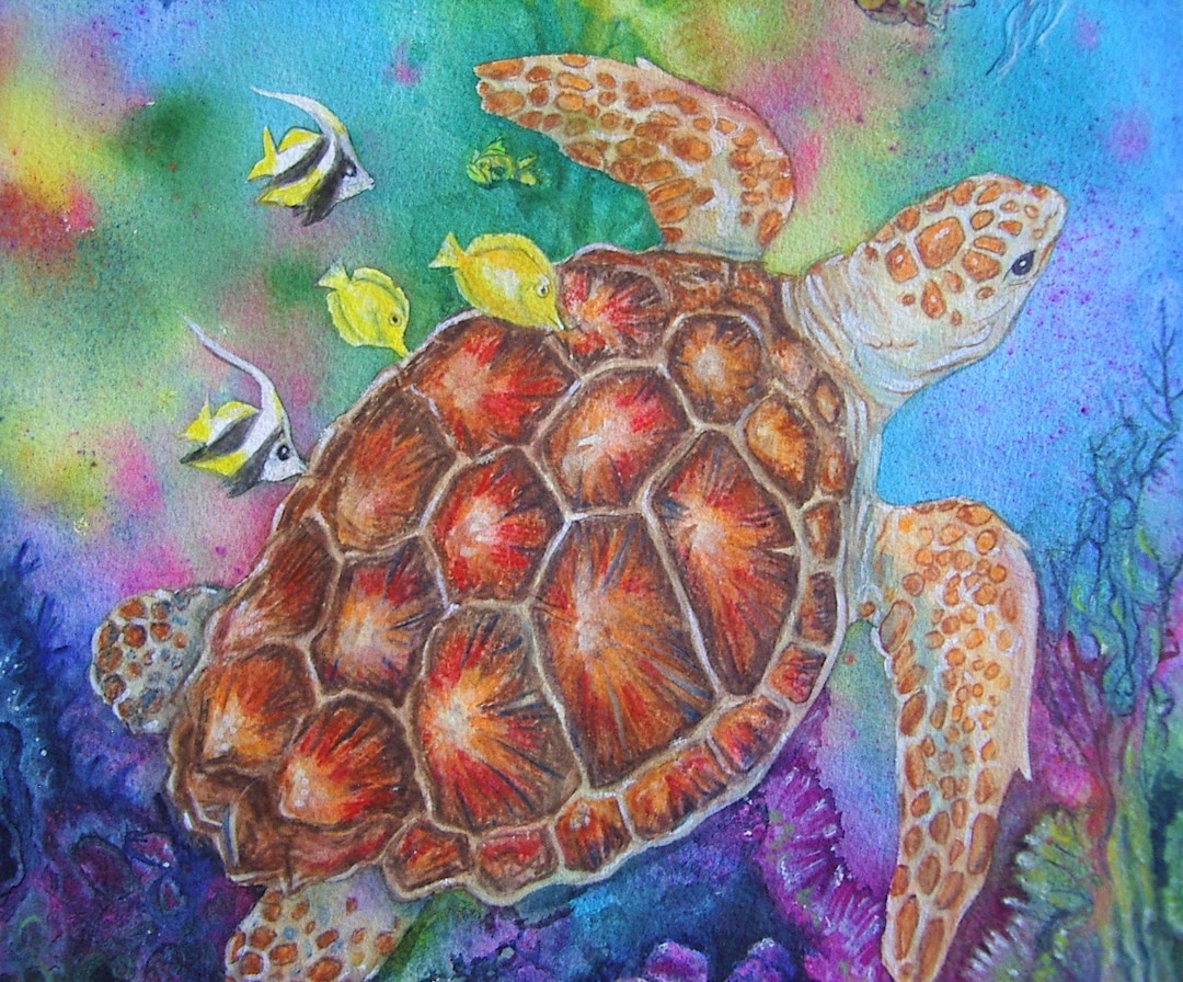 Loggerhead Sea Turtle Painting Ocean Fish Saltwater Cleaning Station ...