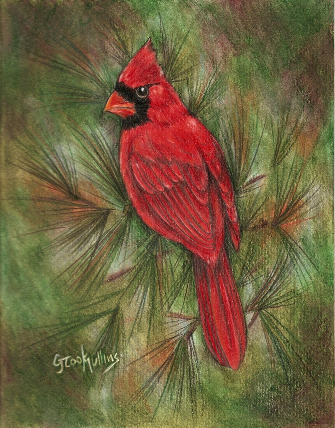Red Cardinal Painting Bird in Pine Tree Original Watercolor Colored ...