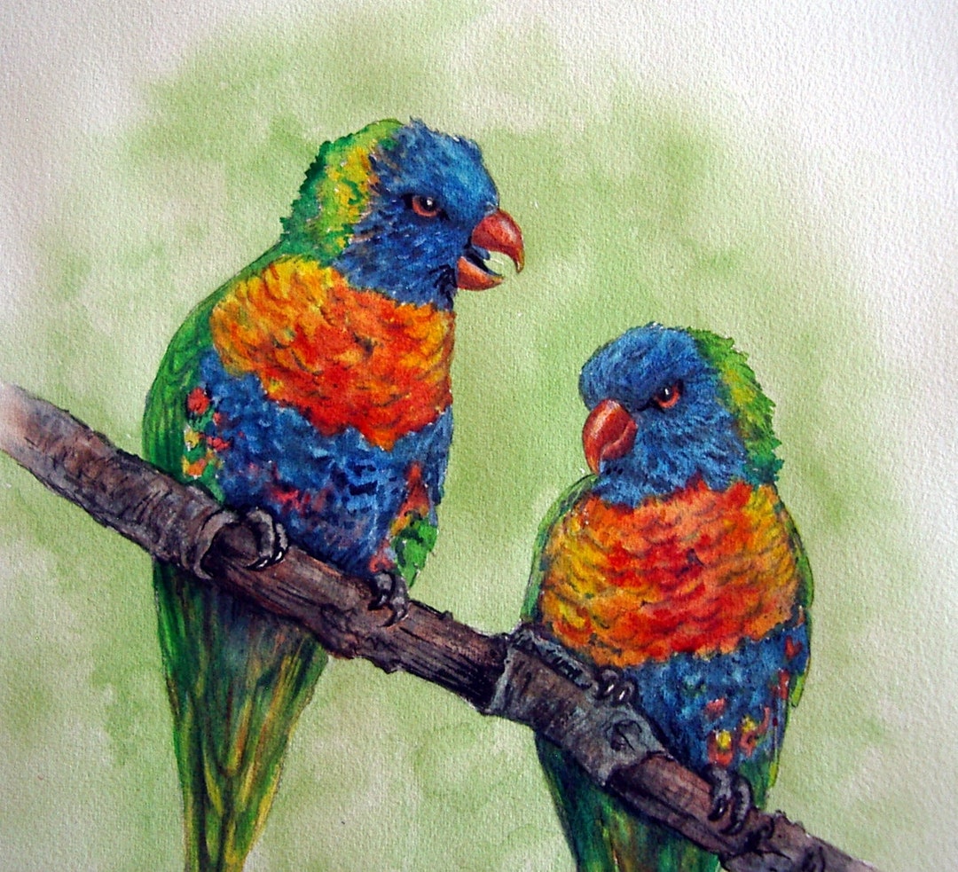 Talking Rainbow Lorikeets Painting Original Watercolor Mixed - Etsy
