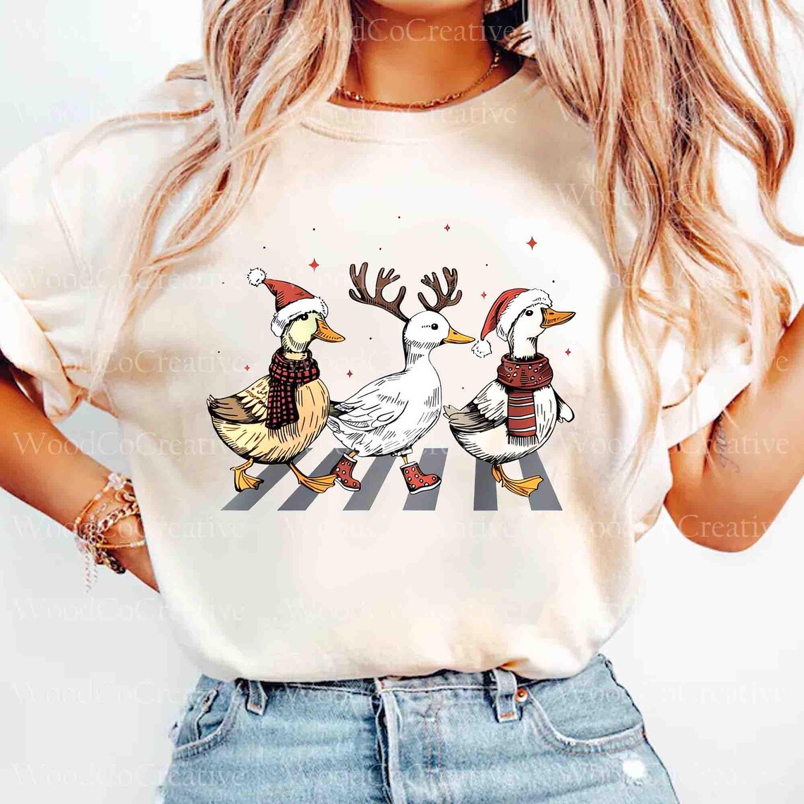Christmas Ducks PNG, Duck Christmas Png, Funny Animals Christmas Png ...