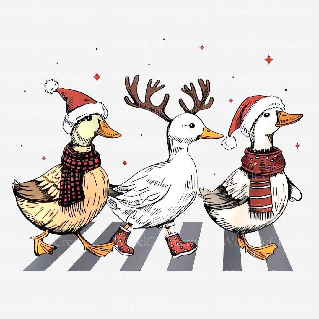 Christmas Ducks PNG, Duck Christmas Png, Funny Animals Christmas Png ...