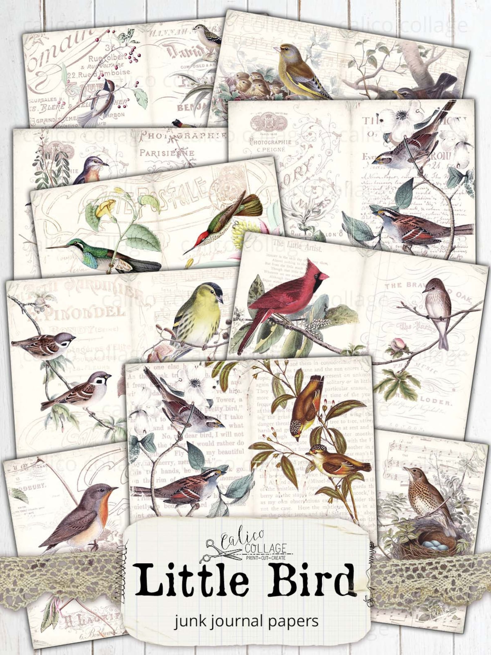 Bird Junk Journal Pages Bird Ephemera Digital Papers - Etsy