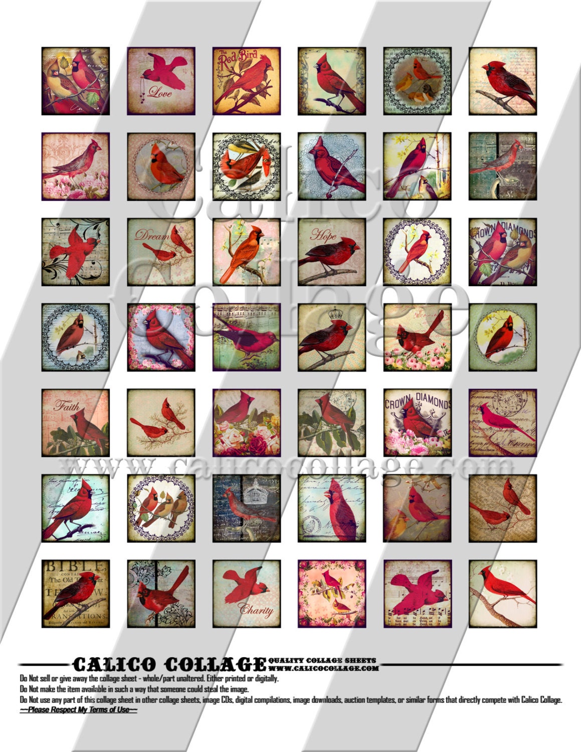 1x1 Inchies Collage Sheet - RED BIRD Collage Sheets - Cardinal Images ...