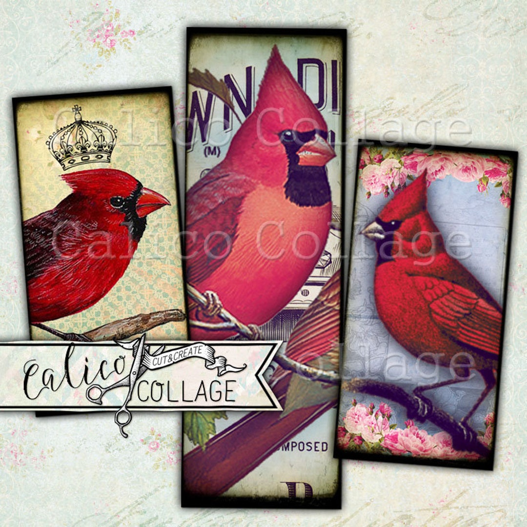 Printable Cardinal Red Bird Collage Sheet, 1x2 Domino, 1x3 Inch - Etsy