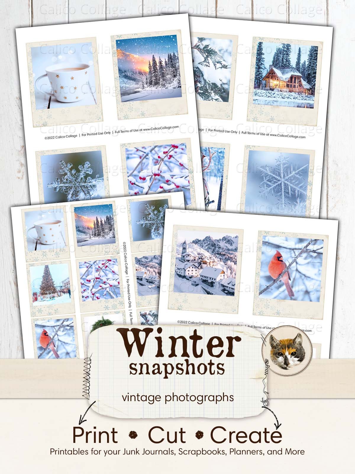 Printable Snapshots for Winter Junk Journal, Vintage Winter Ephemera ...
