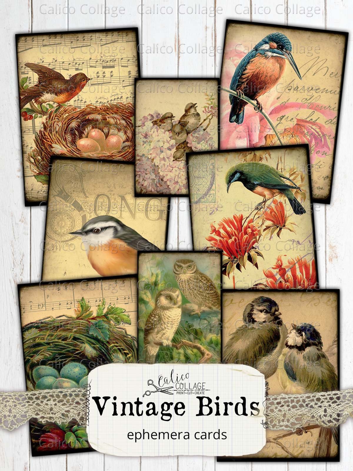 Vintage Bird Ephemera Cards Printable Junk Journal Ephemera | Etsy