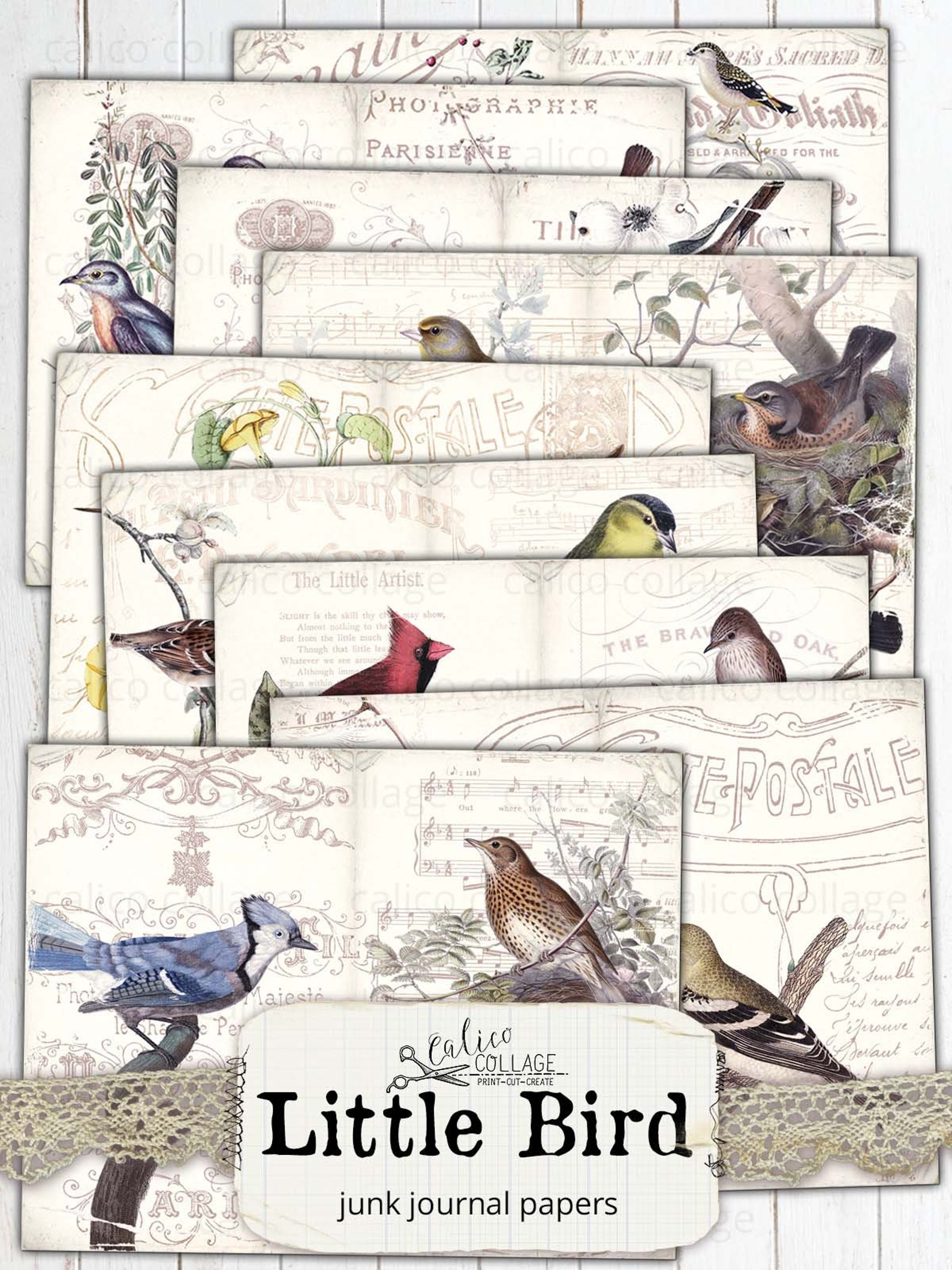 Bird Junk Journal Pages Bird Ephemera Digital Papers - Etsy