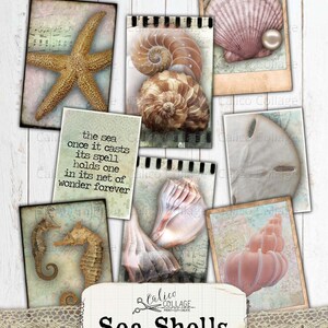 Sea Shell Junk Journal Printable, Ocean Small Ephemera, Vintage ...