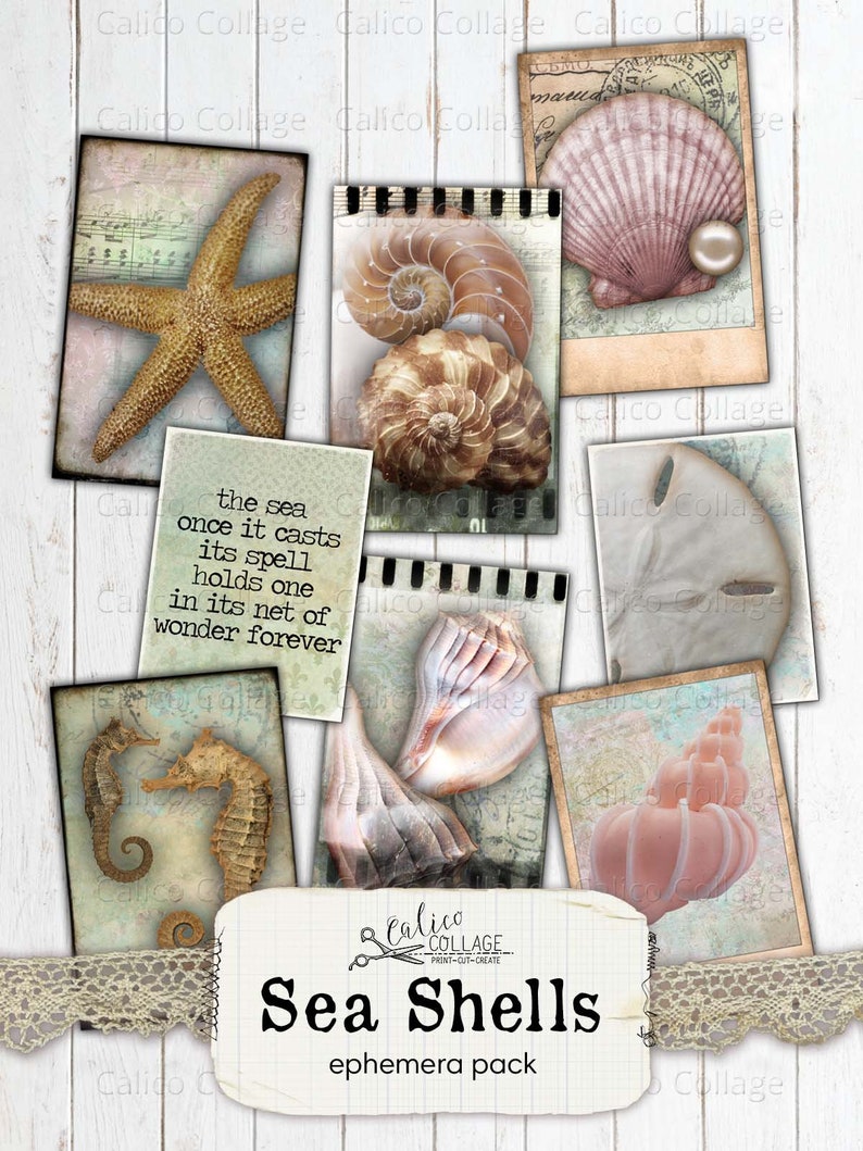 Sea Shell Junk Journal Printable Ocean Small Ephemera - Etsy
