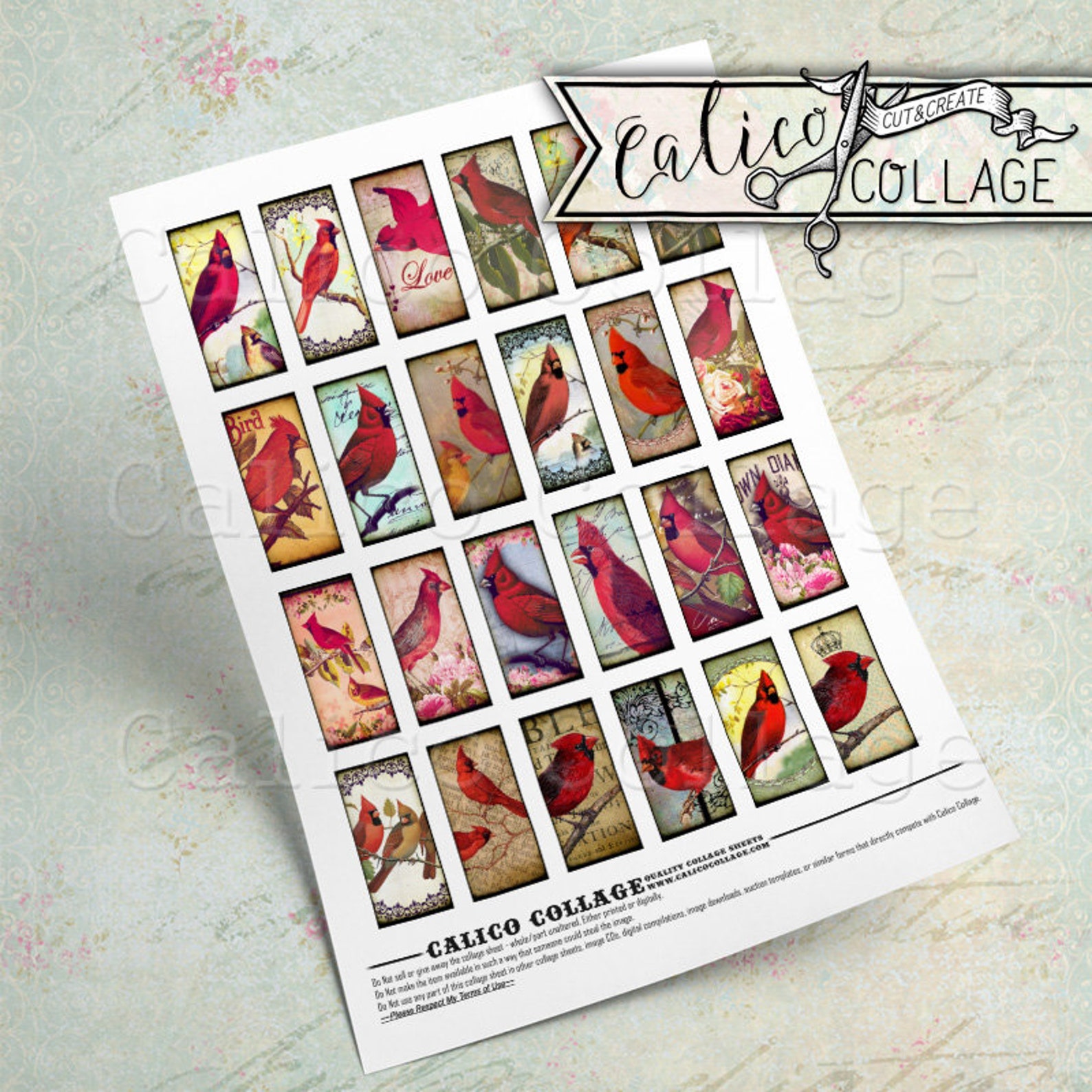Printable Cardinal Red Bird Collage Sheet 1x2 Domino 1x3 | Etsy