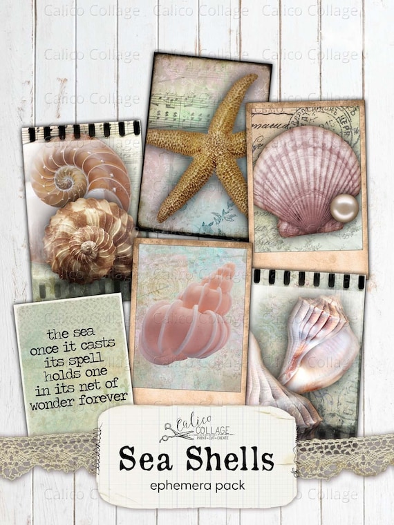 Sea Shell Junk Journal Printable Ocean Small Ephemera - Etsy