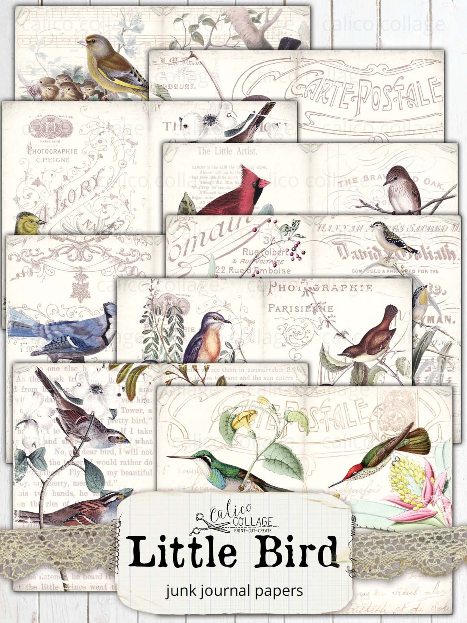 Bird Junk Journal Pages Bird Ephemera Digital Papers - Etsy