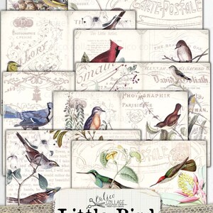 Bird Junk Journal Pages, Bird Ephemera Digital Papers, Ephemera Pack ...
