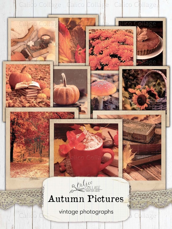 Autumn Photographs Junk Journal Printable Fall Pictures - Etsy