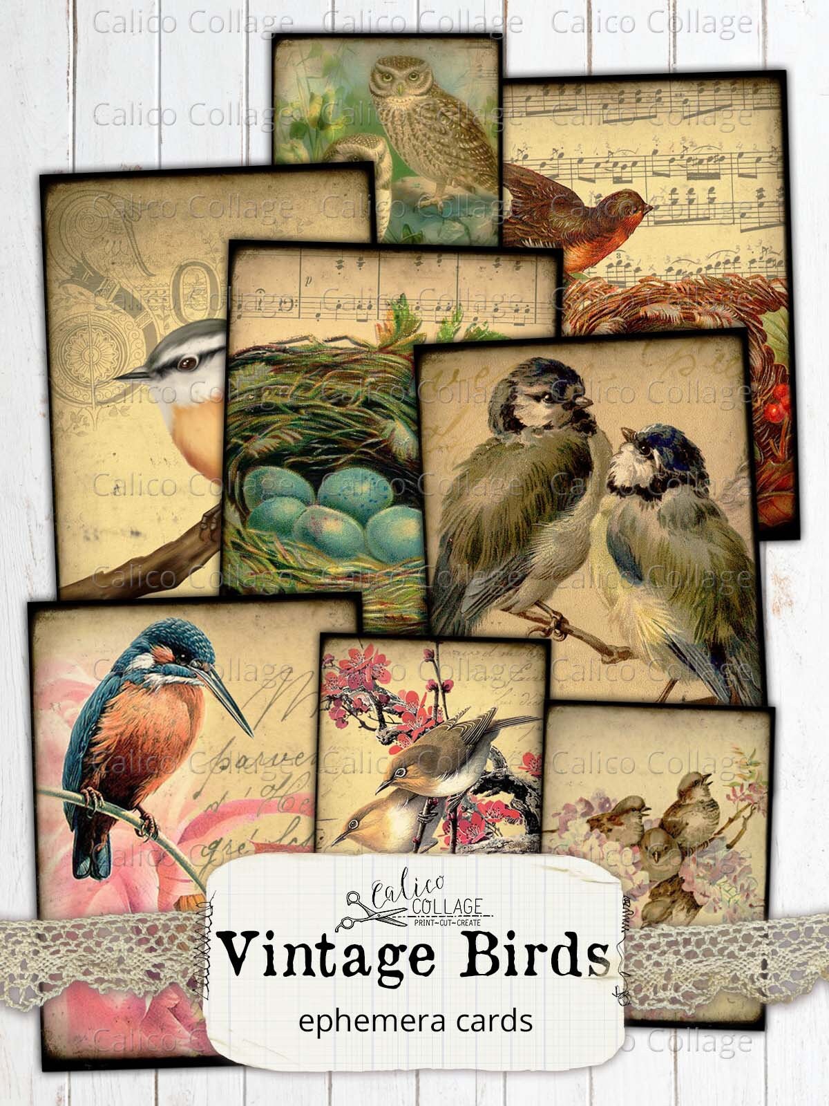 Vintage Bird Ephemera Cards Printable Junk Journal Ephemera | Etsy