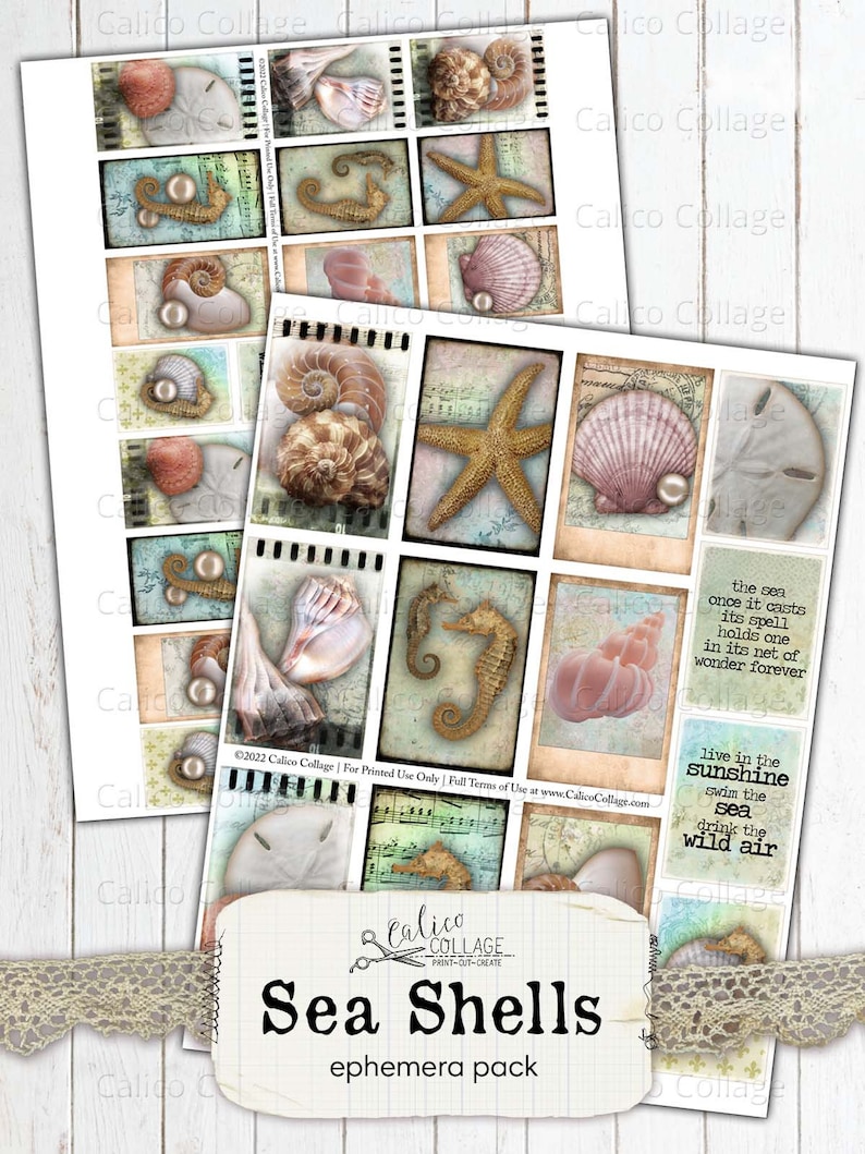 Sea Shell Junk Journal Printable Ocean Small Ephemera - Etsy