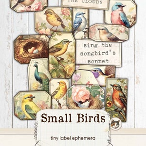 Bird Ephemera for Junk Journals, Printable Ephemera Labels, Junk ...