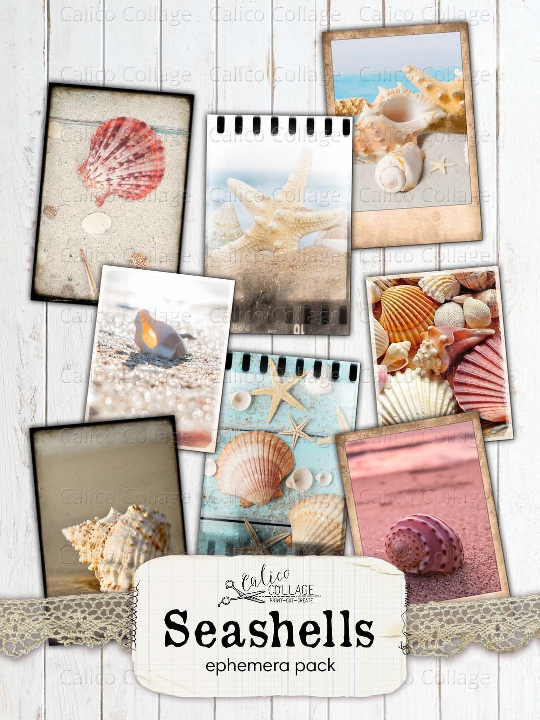 Seashell Junk Journal Polaroid Printable, Ocean Small Ephemera, Vintage ...