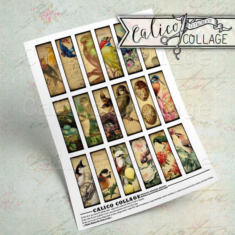Printable Vintage Birds Ephemera Pack Junk Journal Bird - Etsy