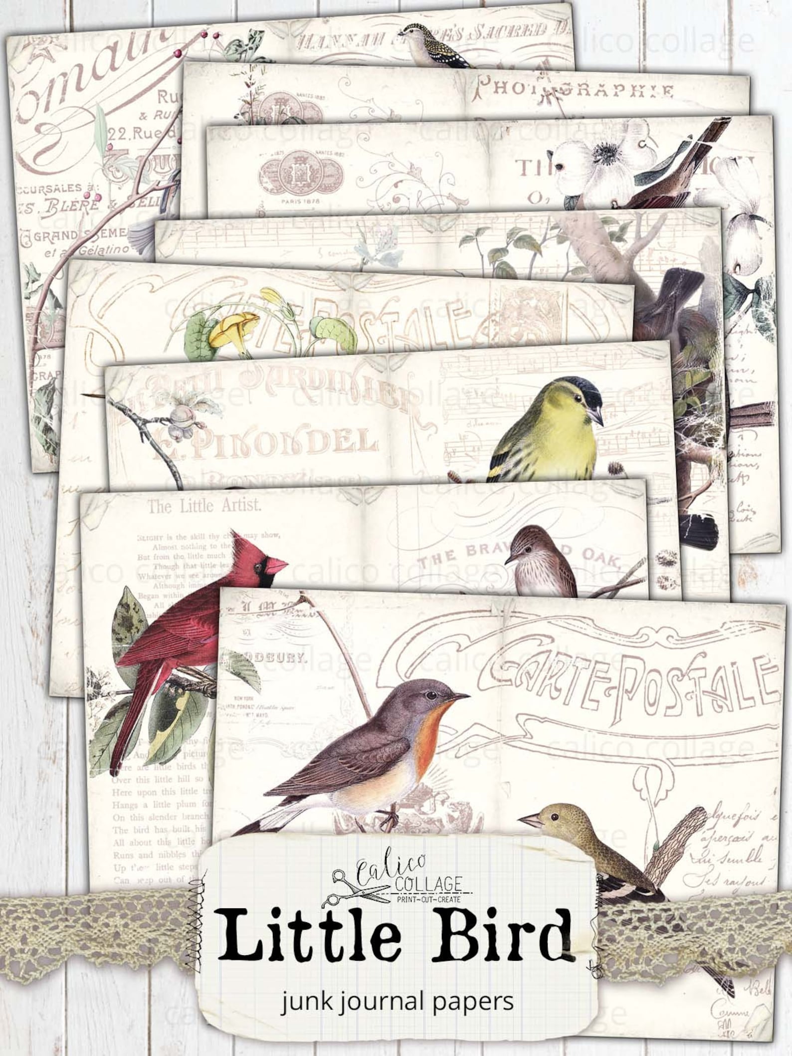 Bird Junk Journal Pages Bird Ephemera Digital Papers - Etsy