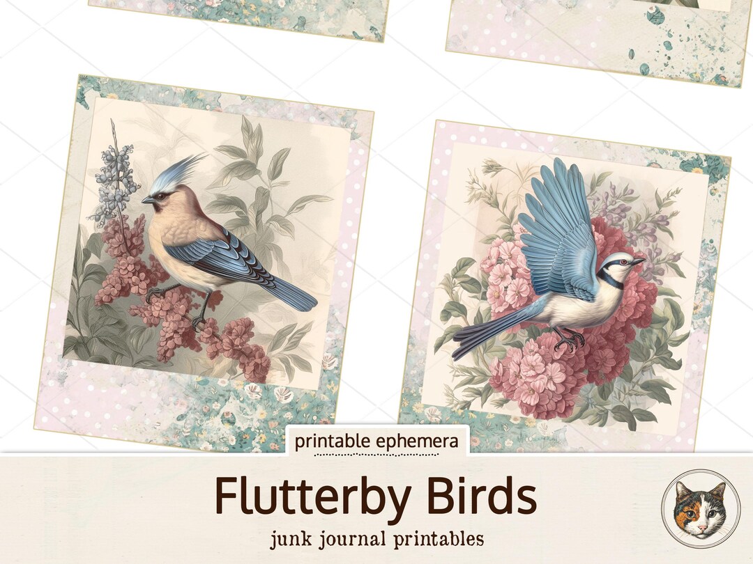 Bird Snapshots Printable Ephemera, Junk Journal Printable Photographs ...