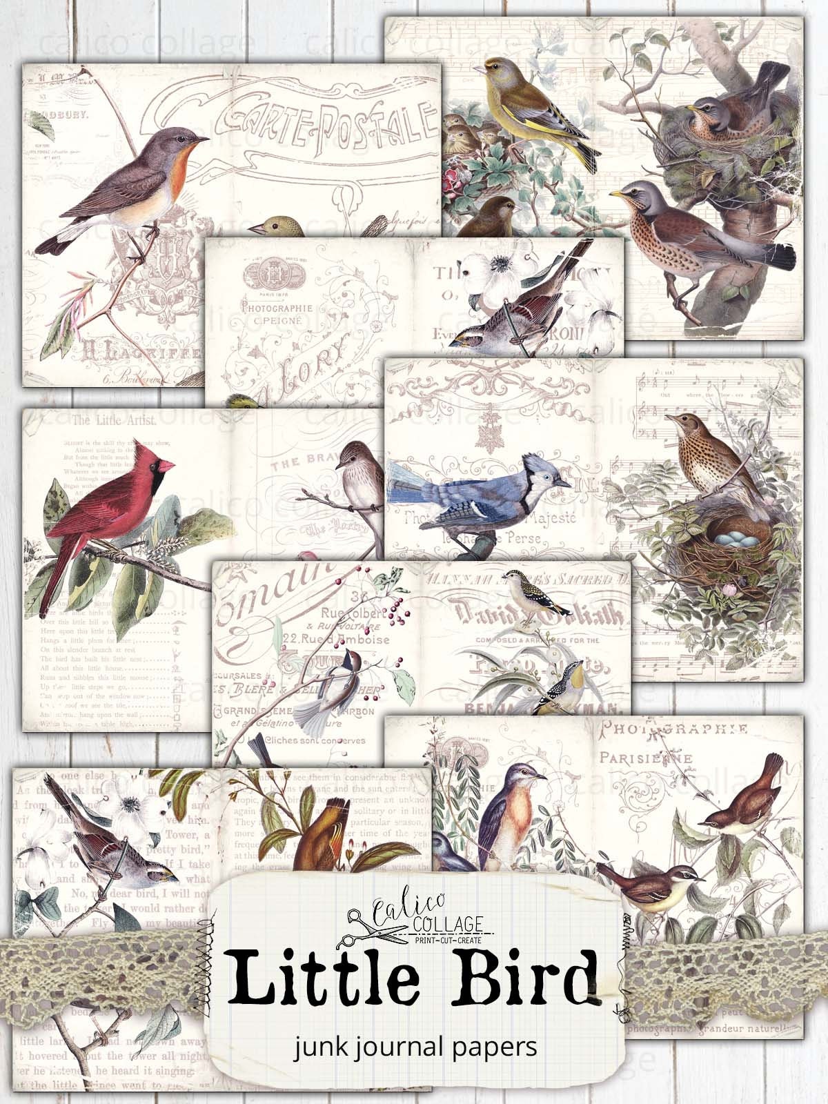 Bird Junk Journal Pages Bird Ephemera Digital Papers - Etsy