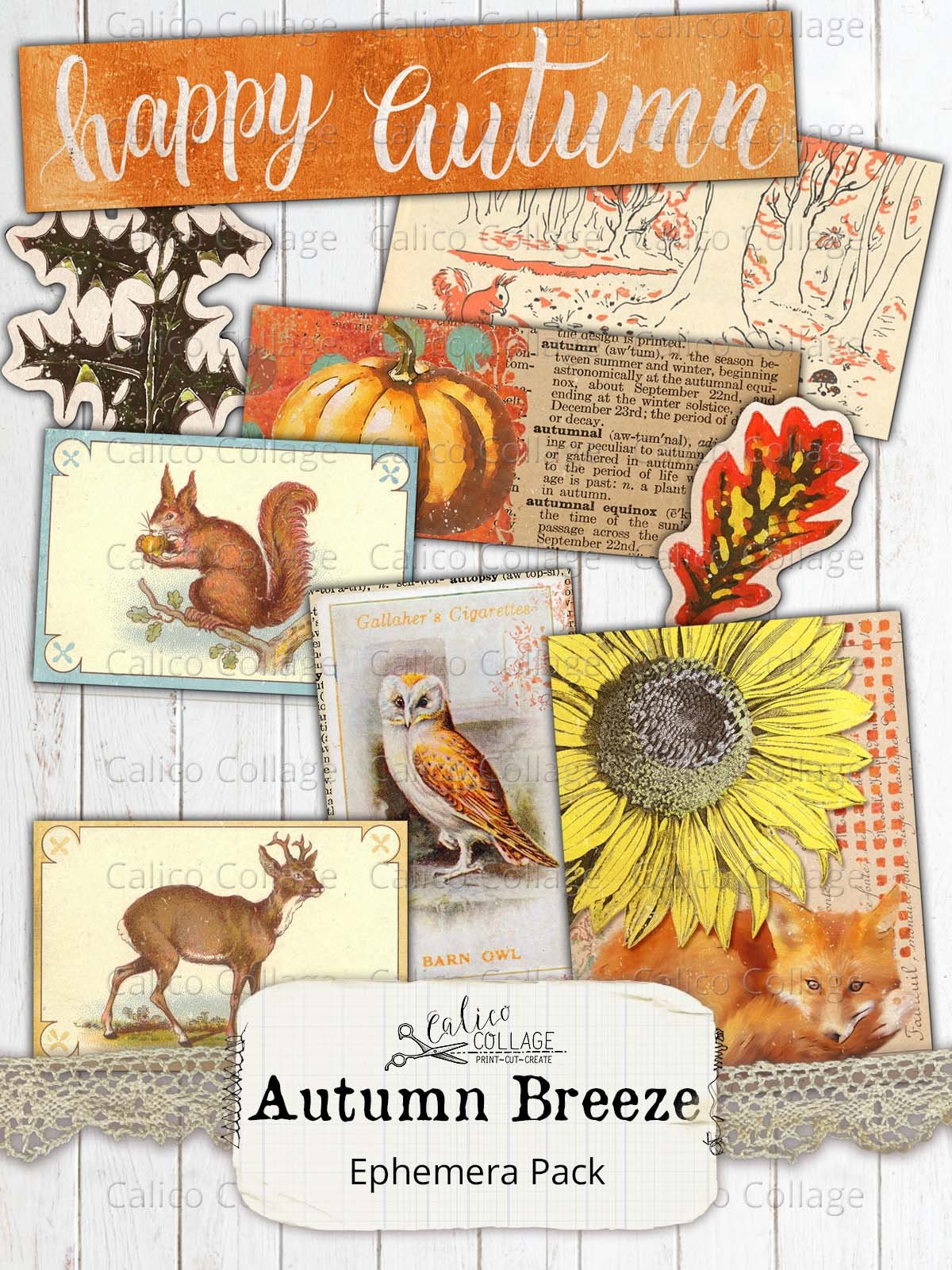 Printable Autumn Ephemera Pack, Junk Journal Kit Vintage Fall ...