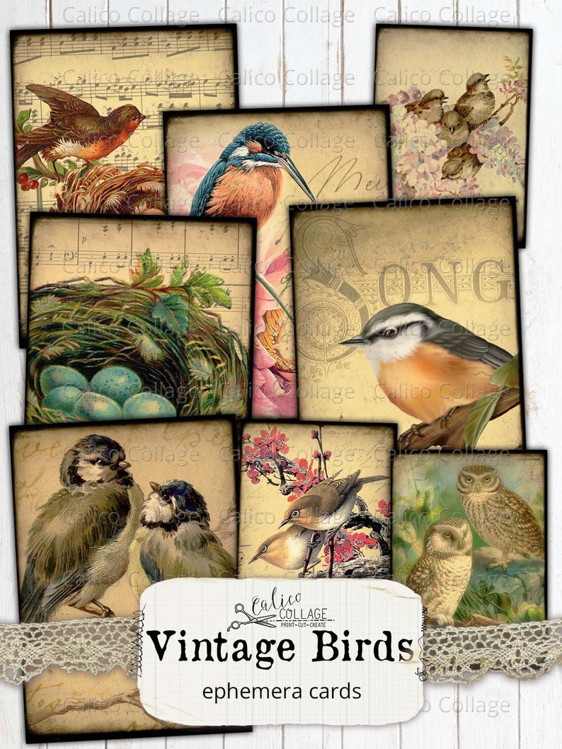 Vintage Bird Ephemera Cards Printable Junk Journal Ephemera | Etsy