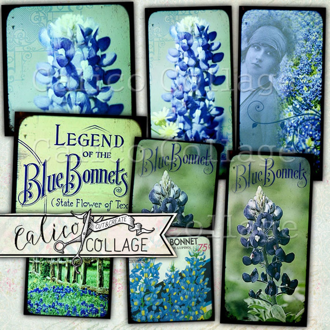 Printable Texas Bluebonnets Ephemera Pack Jewelry Images Collage Sheet ...