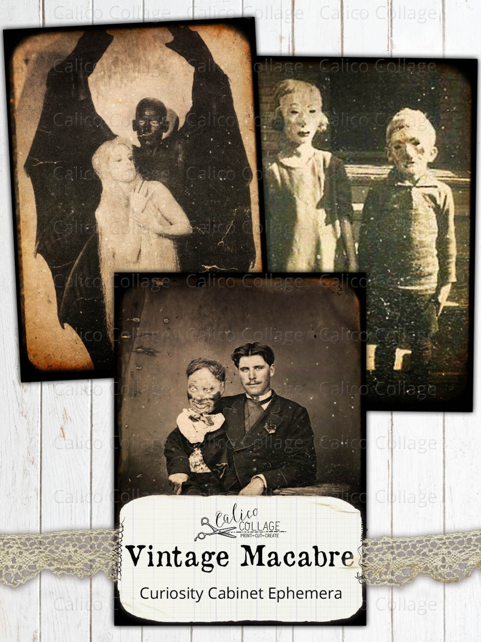 Vintage Macabre Curiosity Cabinet Ephemera Printable Junk Journal Tags ...
