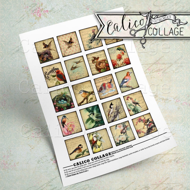 Printable Vintage Birds Ephemera Pack Junk Journal Bird - Etsy