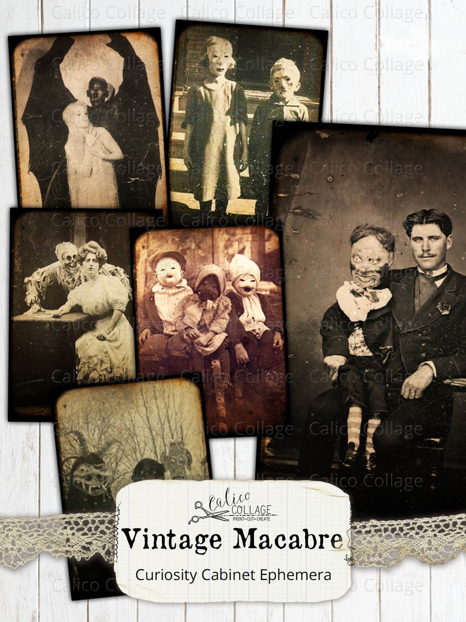 Vintage Macabre Curiosity Cabinet Ephemera Printable Junk Journal Tags ...
