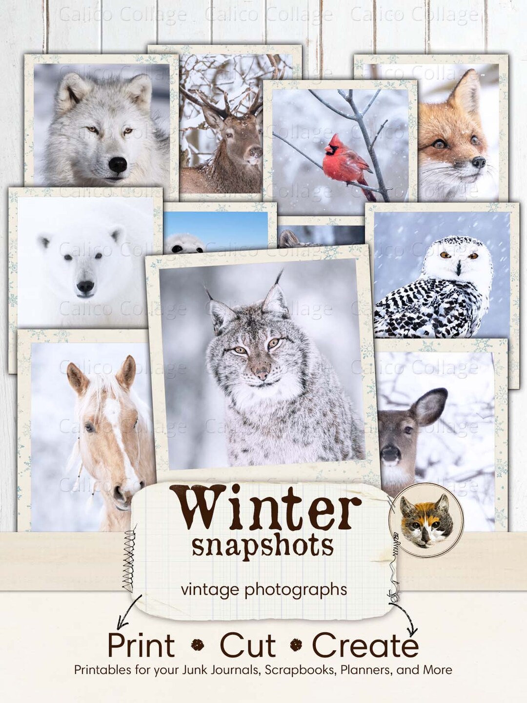 Winter Animal Printable Snapshots for Winter Junk Journals, Vintage ...