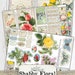 Printable Ephemera Pack Shabby Floral Junk Journal Kit Vintage - Etsy